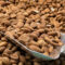 Turkish Almonds, Natural • Grand Bazaar Istanbul